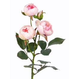 Acheter des Tige de roses artificielle DOREEN, rose, 45cm, Ø4-5cm ...