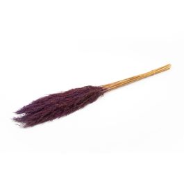 Botte de roseau séché DONJETA, lilas foncé, 70-80cm, Ø15cm