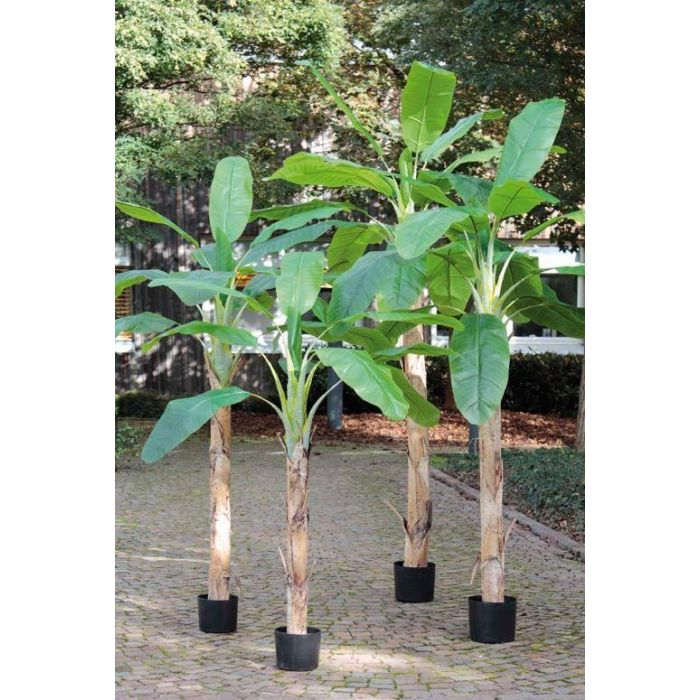 Palmier artificiel Bananier SHARA, 240cm