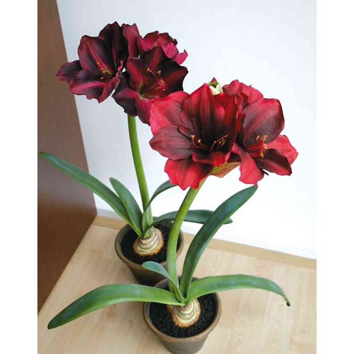 Acheter des Amaryllis artificiel DIXIE, pot en terre cuite, rouge ...