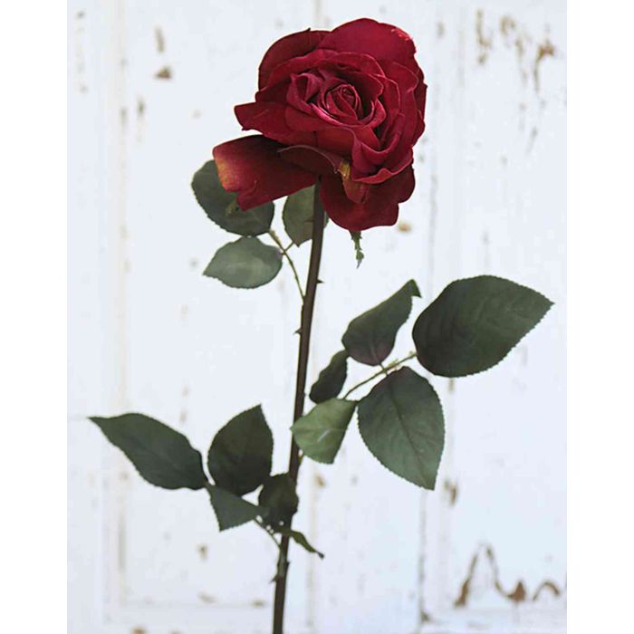 Acheter des Rose en velours CHRISSI, rouge, 90cm, Ø12cm