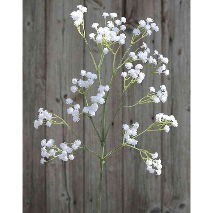 Acheter des Gypsophile artificiel CECILIA, blanc, 60cm, Ø1cm