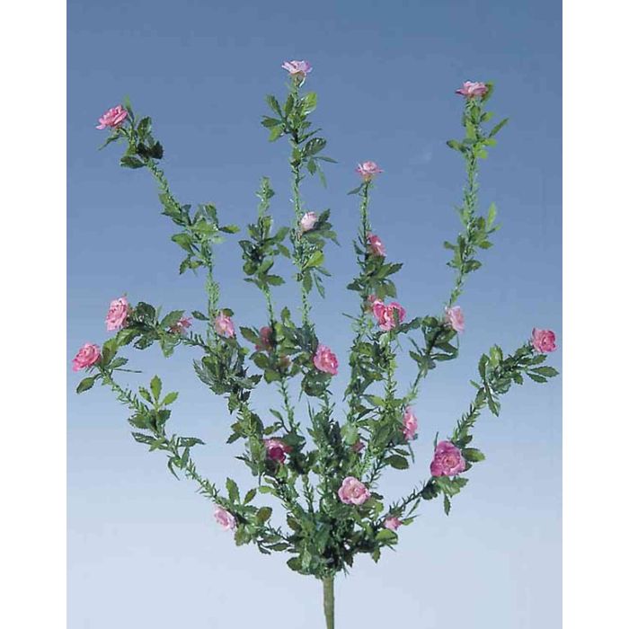 Branche de rosier sauvage AMINE, rose, 60cm, Ø2cm