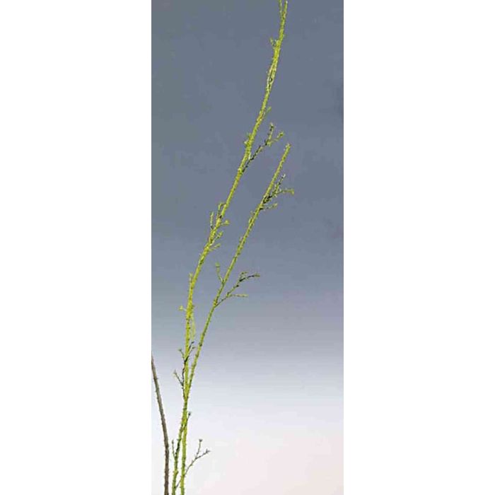 Tige de rosier épineuse décorative WINSTON, vert, 155cm