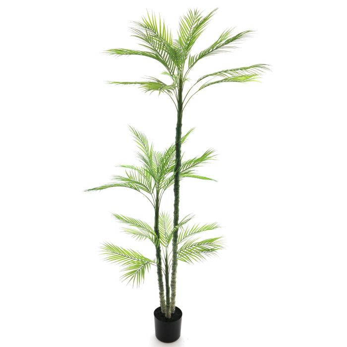 Acheter des Palmiste multipliant décoratif SHUOMIN, 185cm