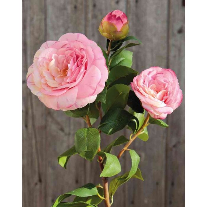 Branche de camélia artificielle ROWENA avec fleurs, rose, 75cm