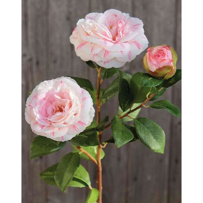 Acheter des Branche de camélia artificielle ROWENA avec fleurs, rose ...