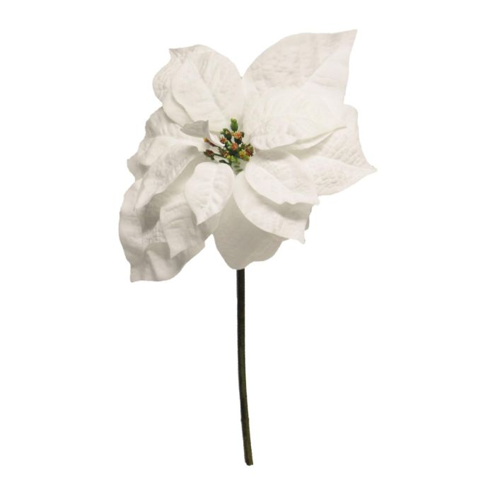 Acheter des Fleur artificielle poinsettia DESHAN, blanc, 35cm