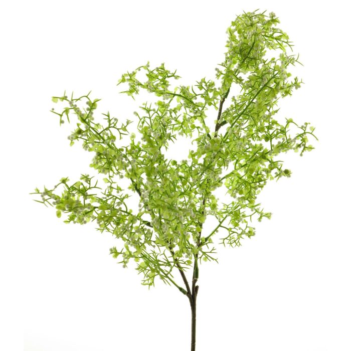 Acheter des Tige décorative de gypsophile LANMO, vert, 50cm