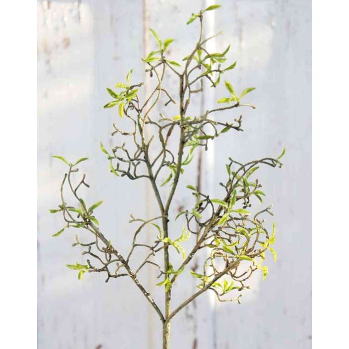 Acheter des Branche de noisetier artificielle GARPUR, vert, 70cm