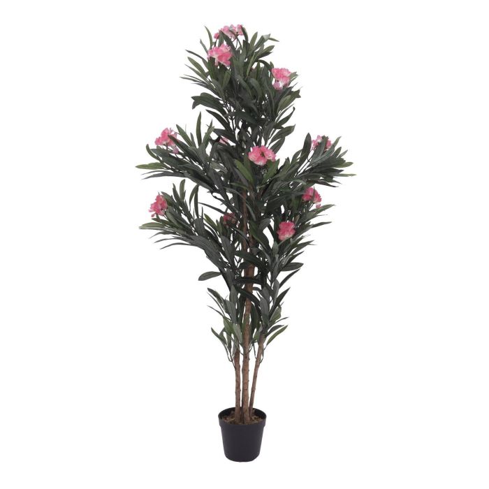 Laurier rose artificiel MINOU, vrais troncs, fleurs, rose, 150cm - Faux ...
