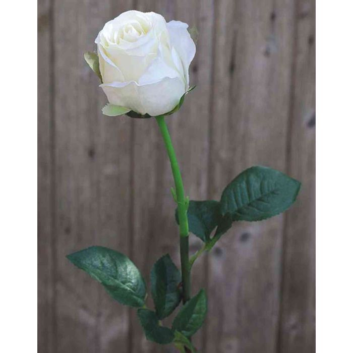 Acheter des Rose artificielle SAPINA, crème-blanc, 60cm, Ø6cm
