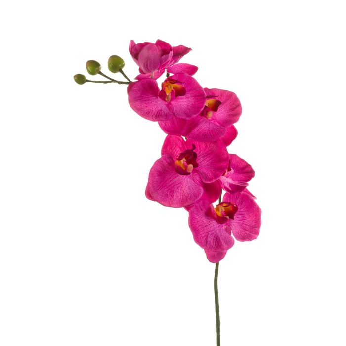 Acheter des Tige d'orchidée Phalaenopsis en plastique BASTET, rose ...