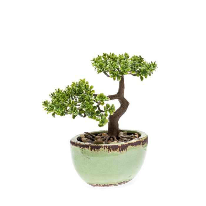 Bonsaï artificiel PIlea GARBI, pot en céramique, 23cm