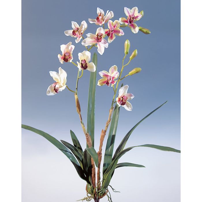 Acheter des Orchidée Dendrobium artificielle ZIVA, piquet, crème-marron ...